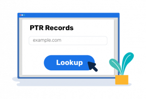 DNS PTR Record Lookup Tool - PTR Record Lookup Online