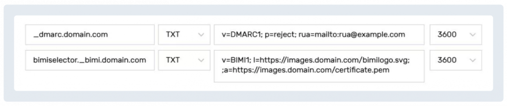 How To Create And Publish A BIMI Record?
