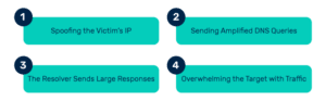 DNS Amplification Attacks: Examples, Detection & Mitigation - Security Boulevard
