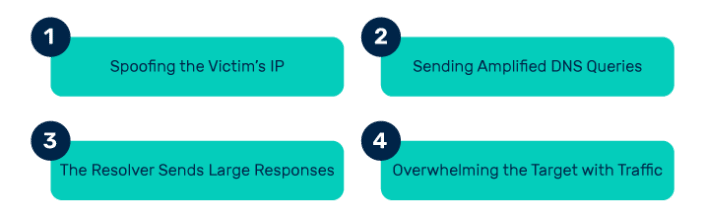 DNS Amplification Attacks: Examples, Detection & Mitigation - Security ...
